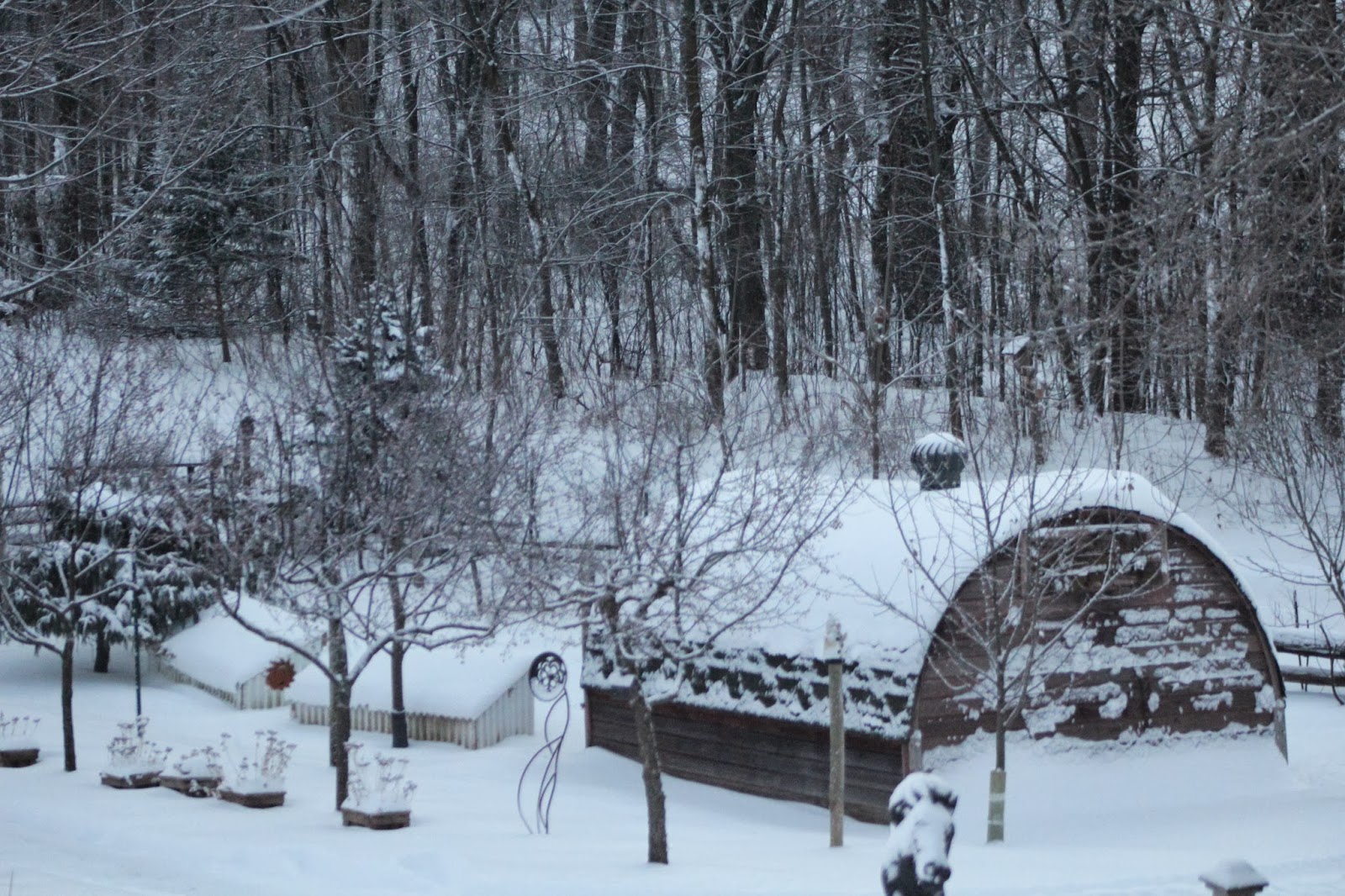 Nature Within - Cherish The Moment: January in Wisconsin Can Be Trying