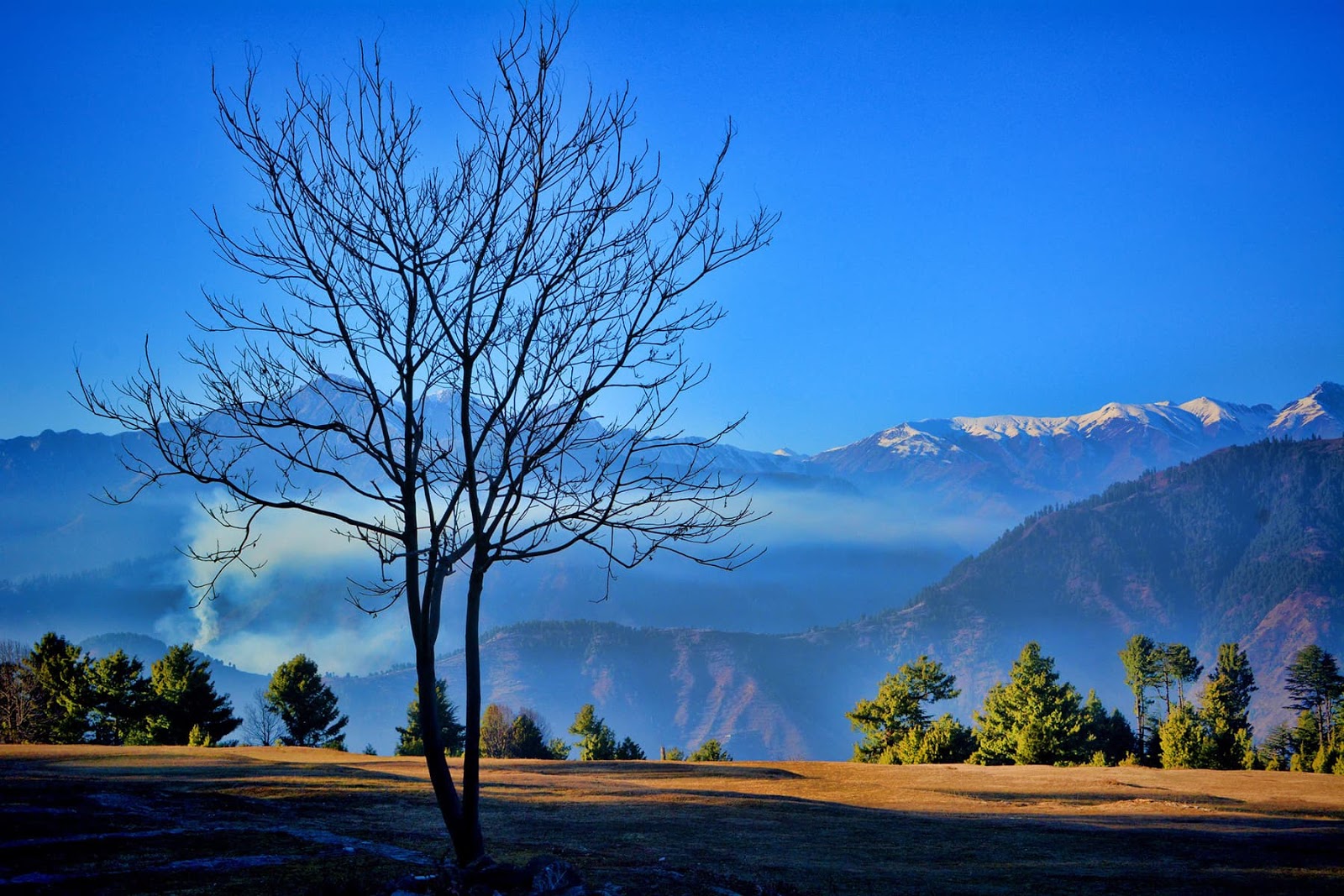 The beautiful Shogran valley KPK - Trango Tours