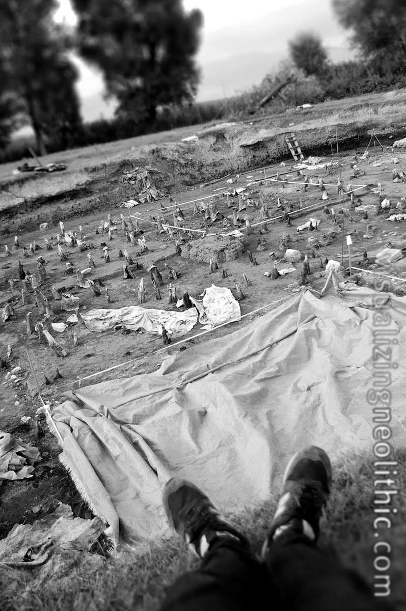 visualizingneolithic: cadere