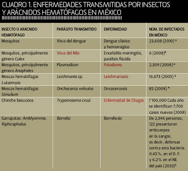 Qfitos: Parásitos hematófagos