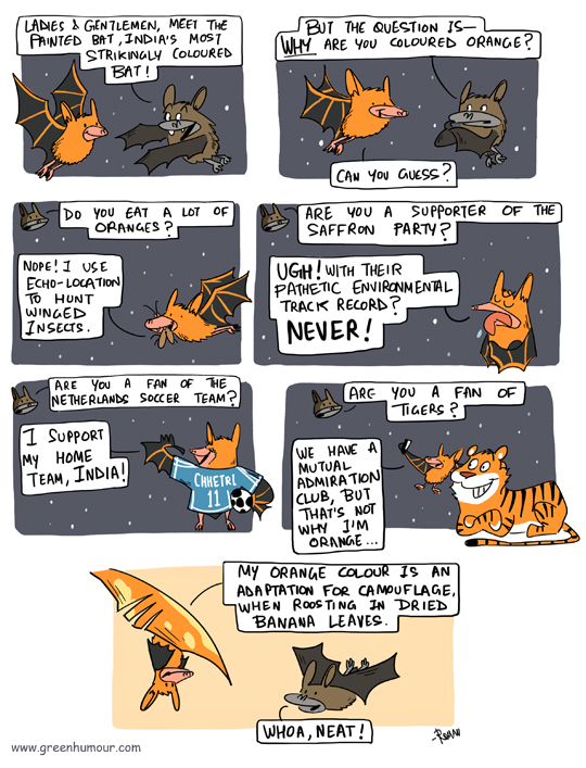 Green Humour: Meet the Painted Bat