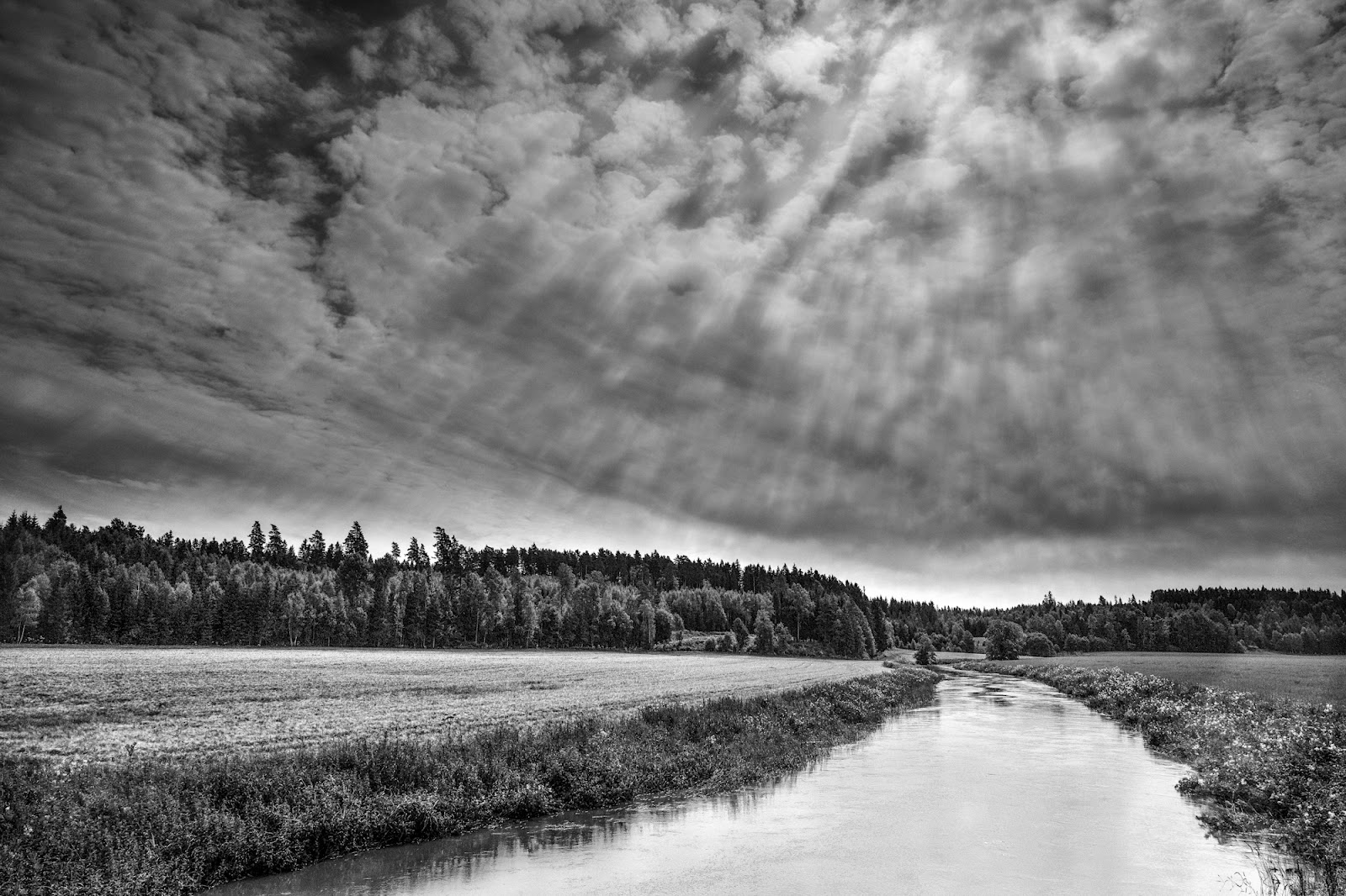 TS_Johansen Photography: Raining light