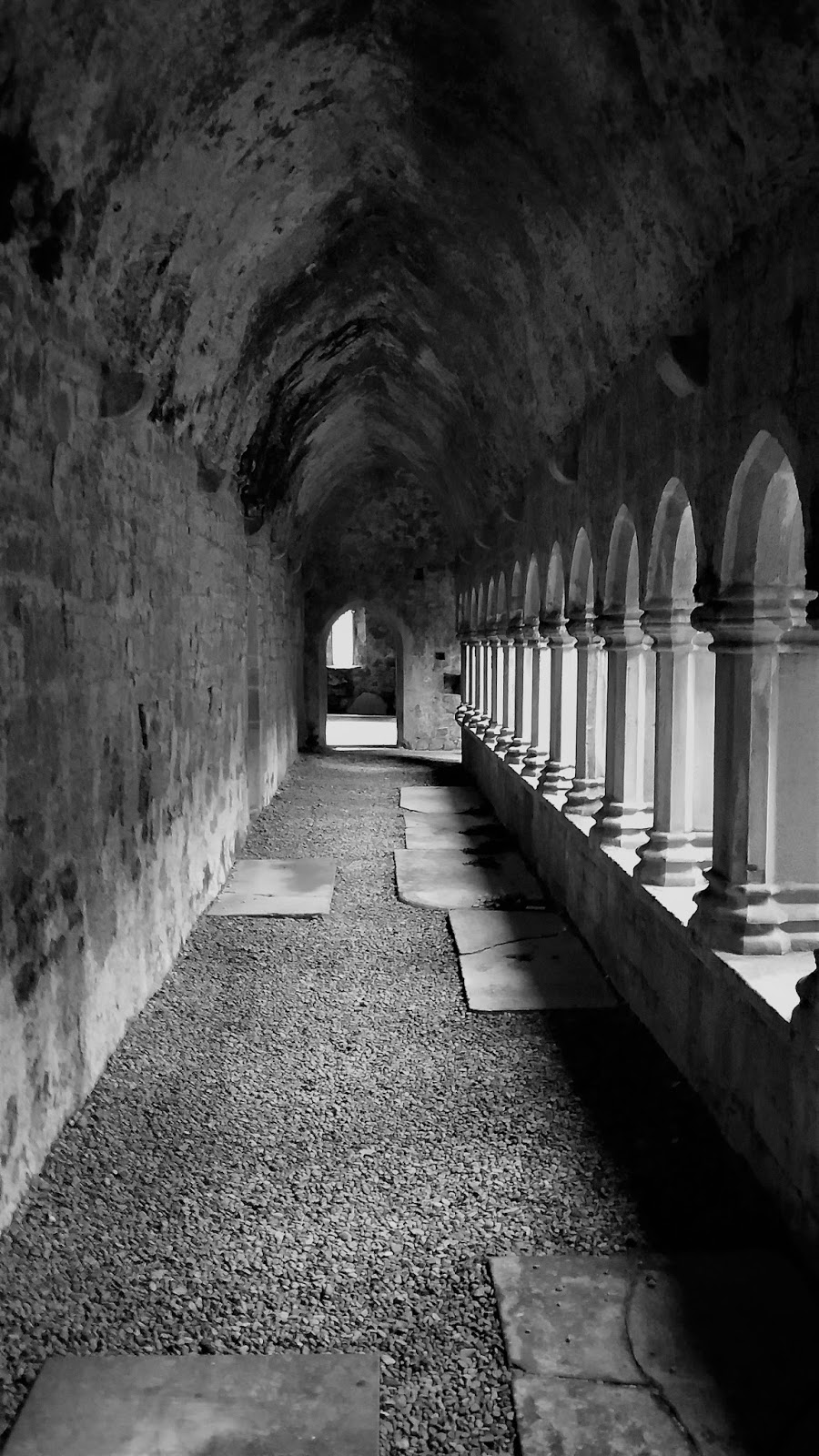 CULTURE: Exploring Quin Abbey, Co. Clare