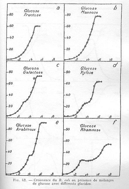 Of Bacteria and Men: Jacques Monod and the study of bacterial growth
