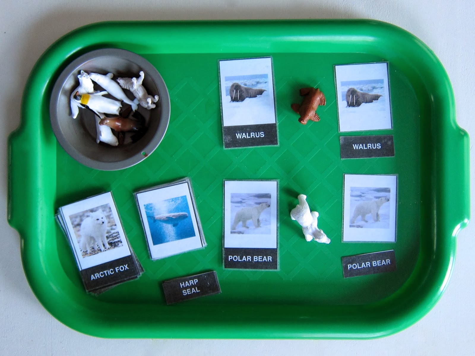 Around Our Schoolroom: Winter