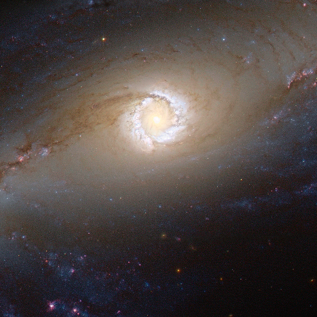 Jean-Baptiste Faure: Barred Spiral Galaxy NGC 1097