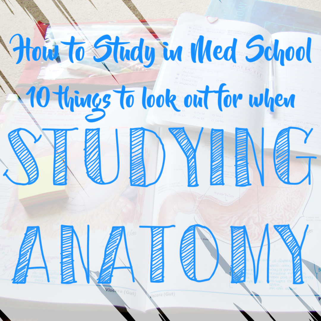10 Tips on Studying Anatomy