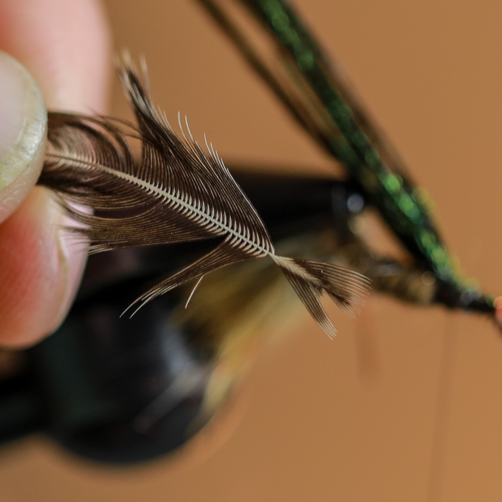 Mad River Outfitters: Fly Tying- Clouser's Swimming Nymph