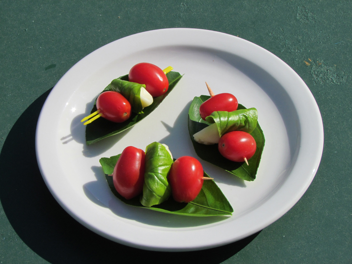 Caprese toothpicks - noredmaxx