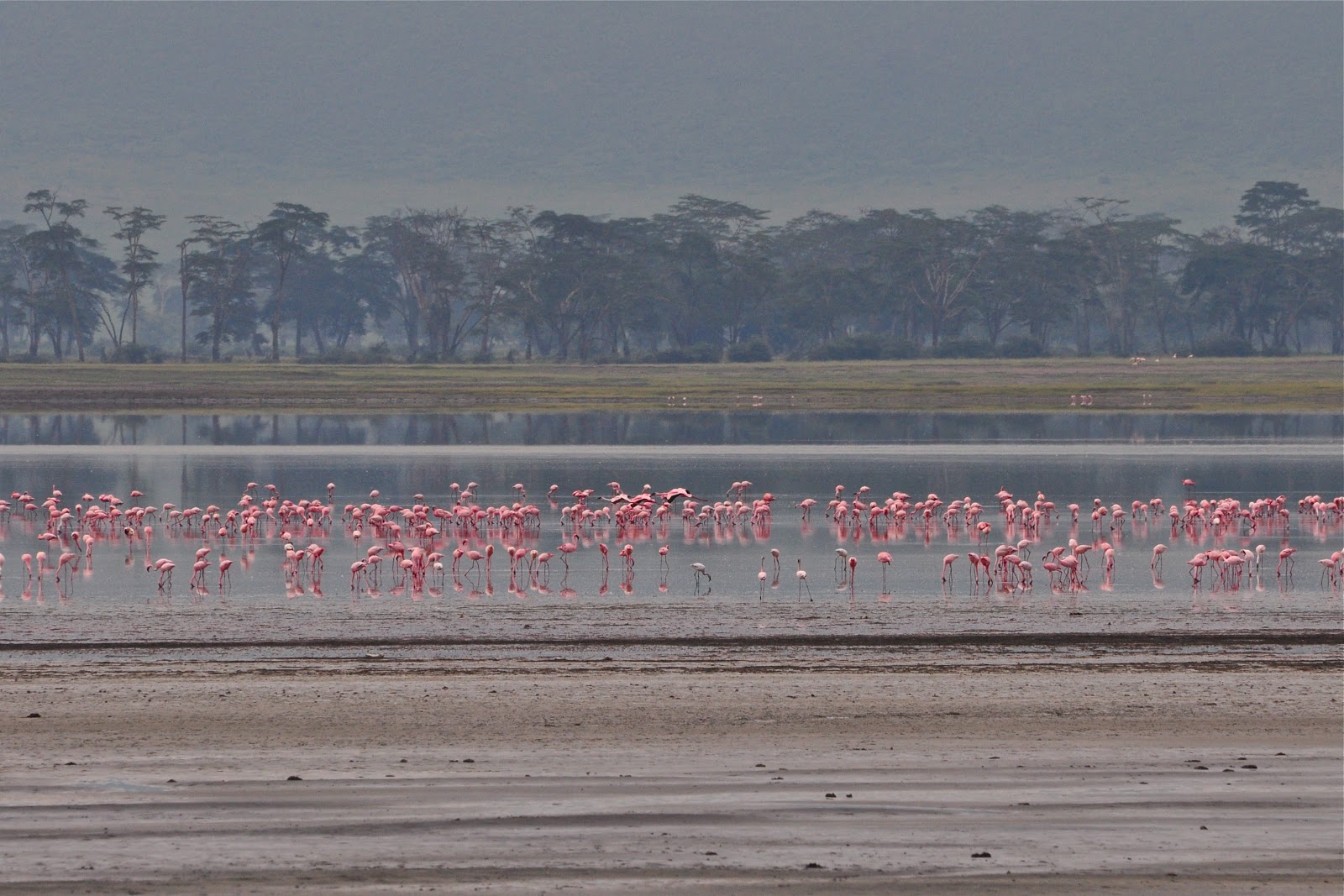 Viva la Voyage: Photos: Africa Scenes