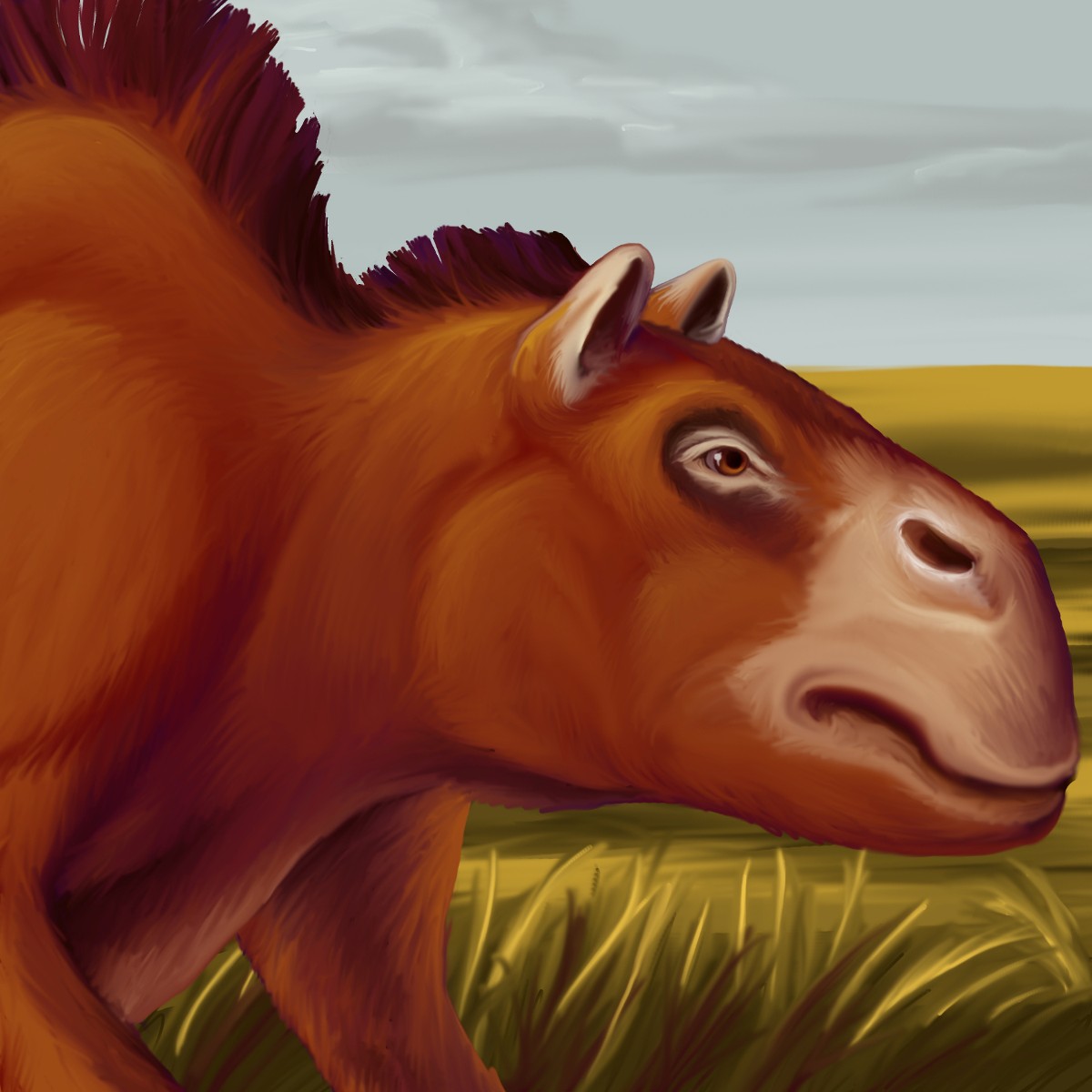 Toxodon - JungleKey.fr Image #100