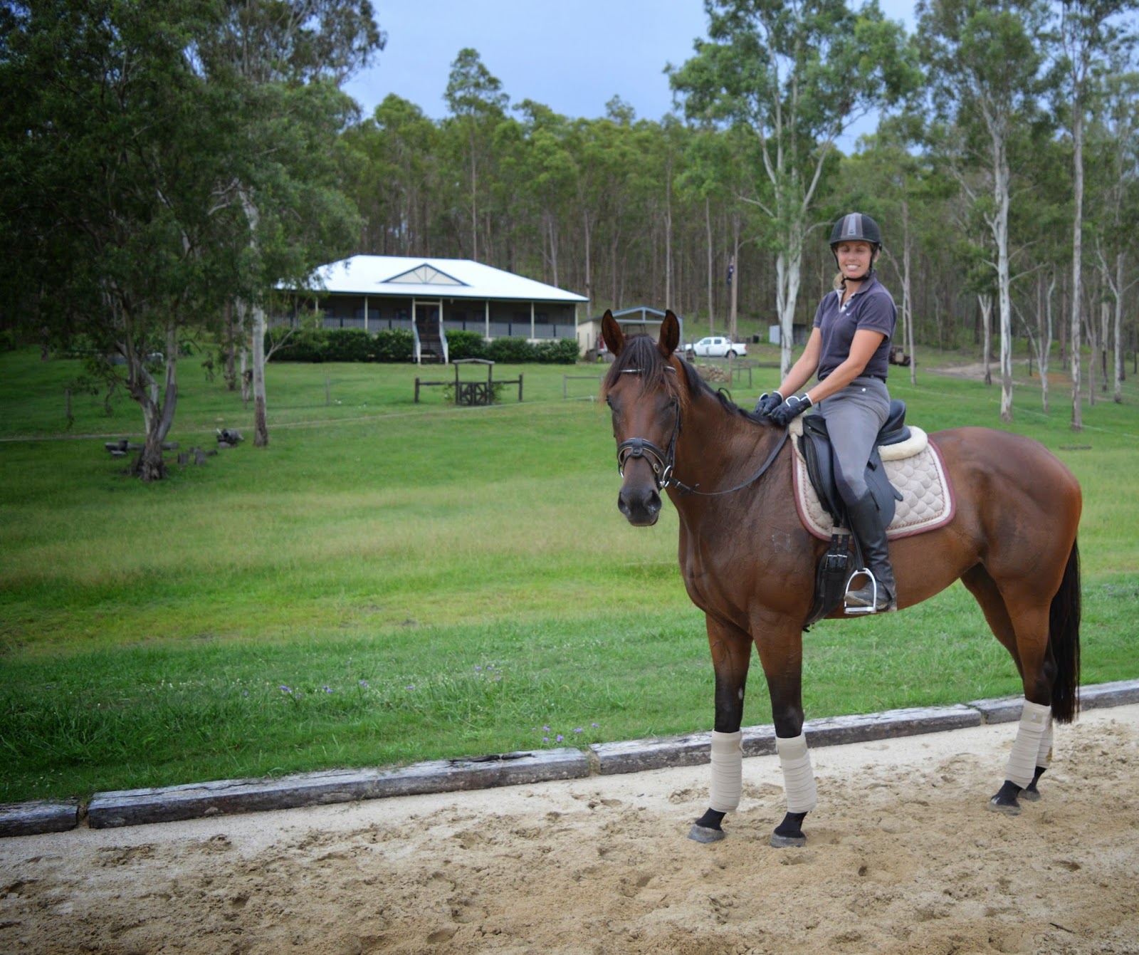 From the Track to the Arena… The Second Life of a Thoroughbred ...