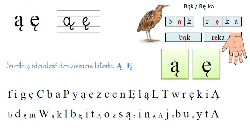 BLOG EDUKACYJNY DLA DZIECI: LITERKA ą i ę - KARTY PRACY