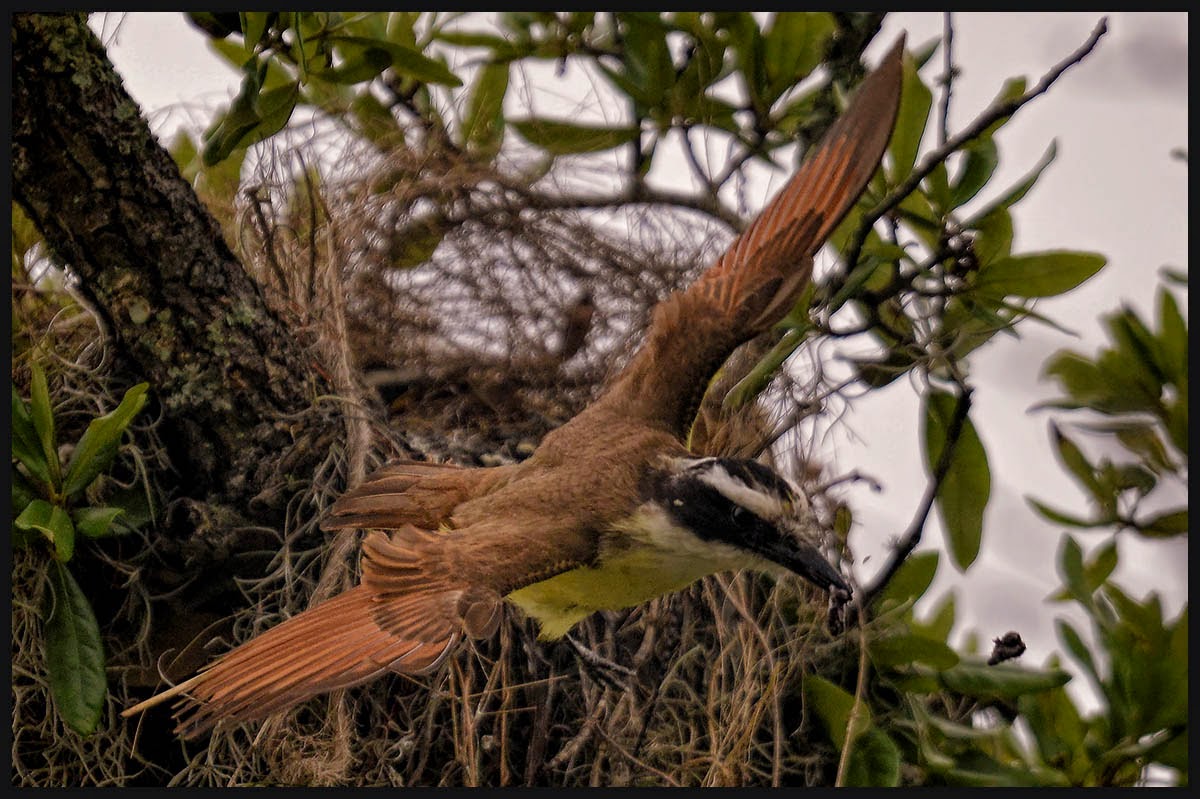 Thomas Finnie Photography