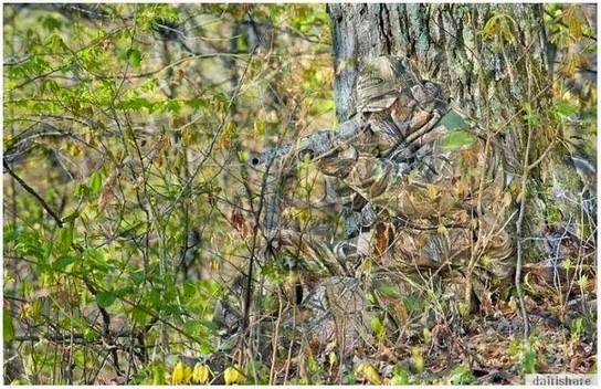 AKSI PENYAMARAN TENTERA YANG TIDAK MUNGKIN DAPAT DILIHAT...LIHAT GAMBAR ...