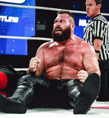 Beefcakes of Wrestling: 2017