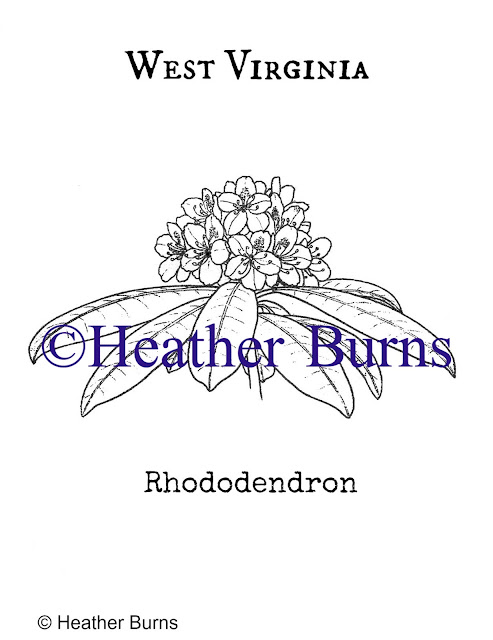 State Flower Coloring Book: West Virginia State Flower: Rhododendron