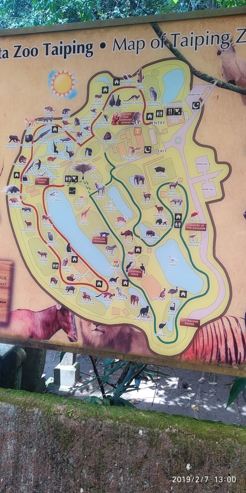 Zoo Taiping | Mengenali Haiwan Dengan Lebih Dekat - Cahaya Hayati