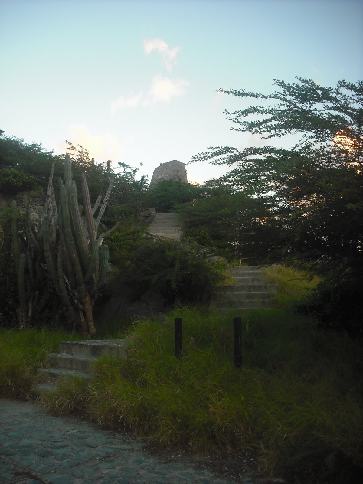 De belevenissen van de Familie Fingal op Aruba: Wandeling goudmijn ...