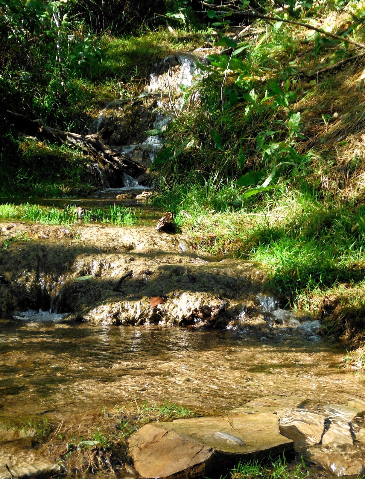 Walking Calgary: Paskapoo Slopes