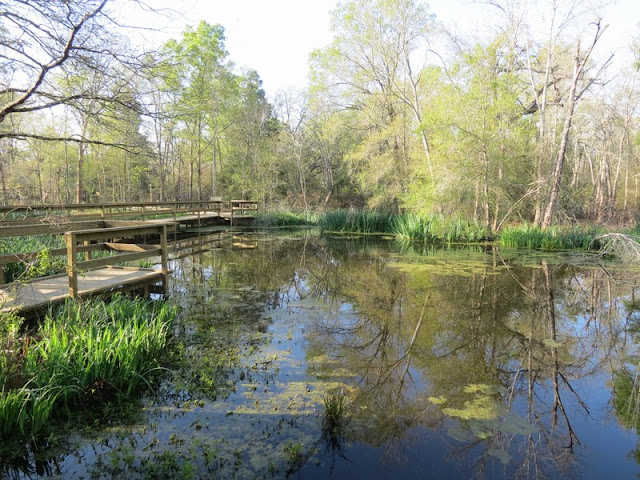 Texas Nature: Armand Bayou Nature Center Part 1