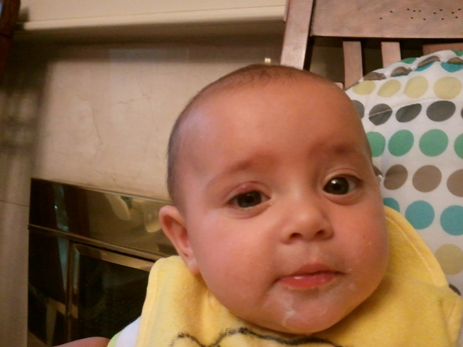 Frozen Dinner Diva Adventures In Freezing Baby Food frozen-dinner-diva-adventures-in-freezing-baby-food