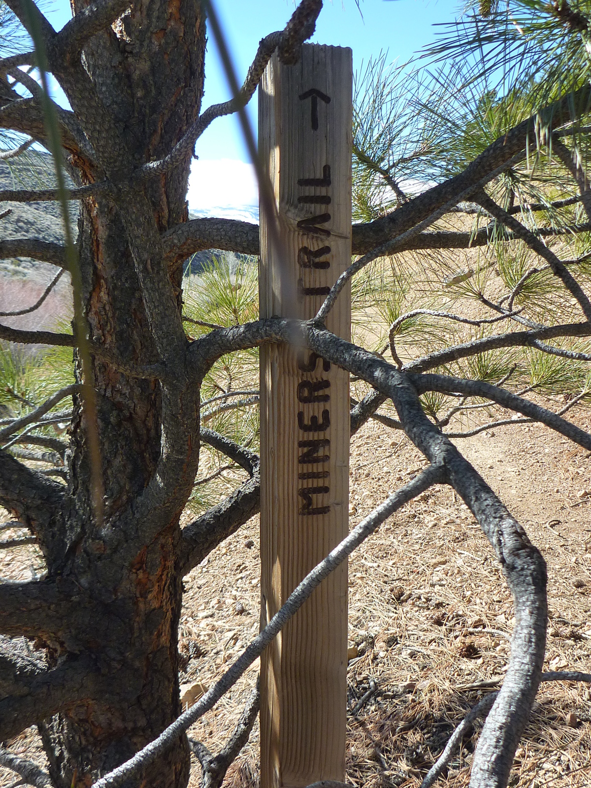 Trailing Ahead: Evans Canyon's Miners Trail