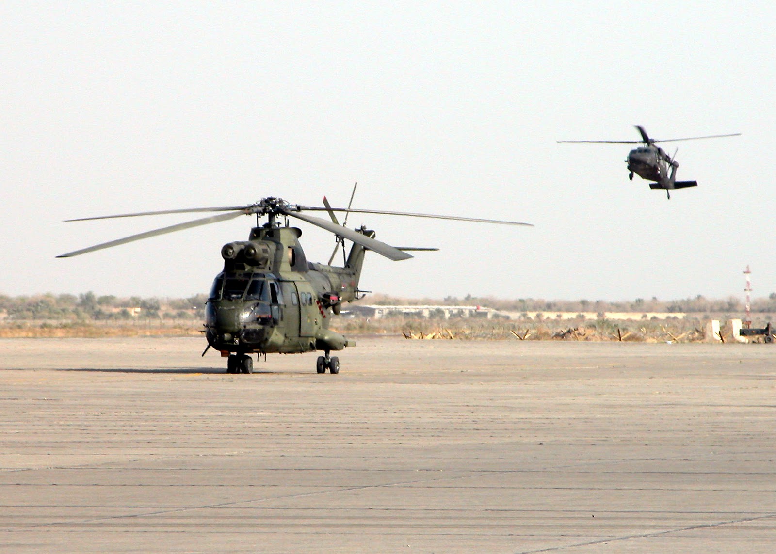 Grand Logistics: Puma,Chinook And Serendipity
