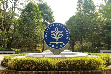 Eksistensi Koin IPB Makin Melejit ~ Mengintip Nusantara News