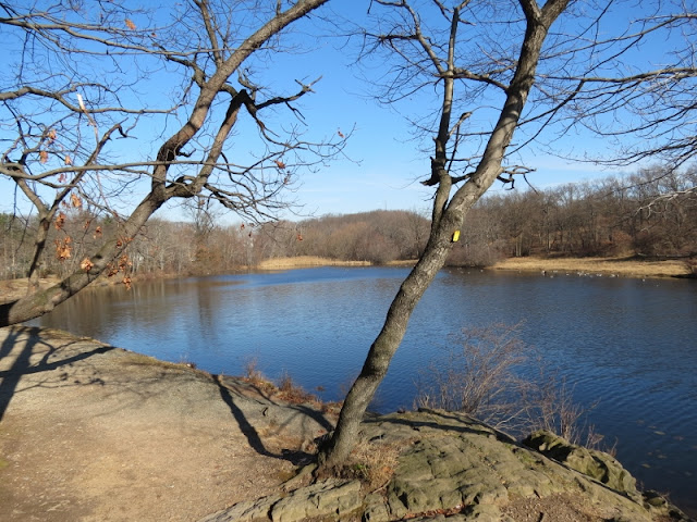 Gone Hikin': Garret Mountain Reservation, NJ and Paterson Great Falls