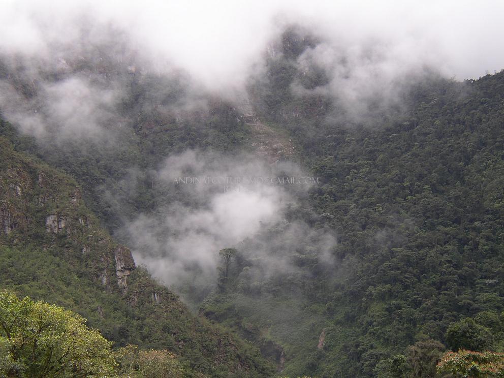 ANDINA ECOTURISMO. Turismo de Naturaleza. CAMINA - CONOCE - AMA ...