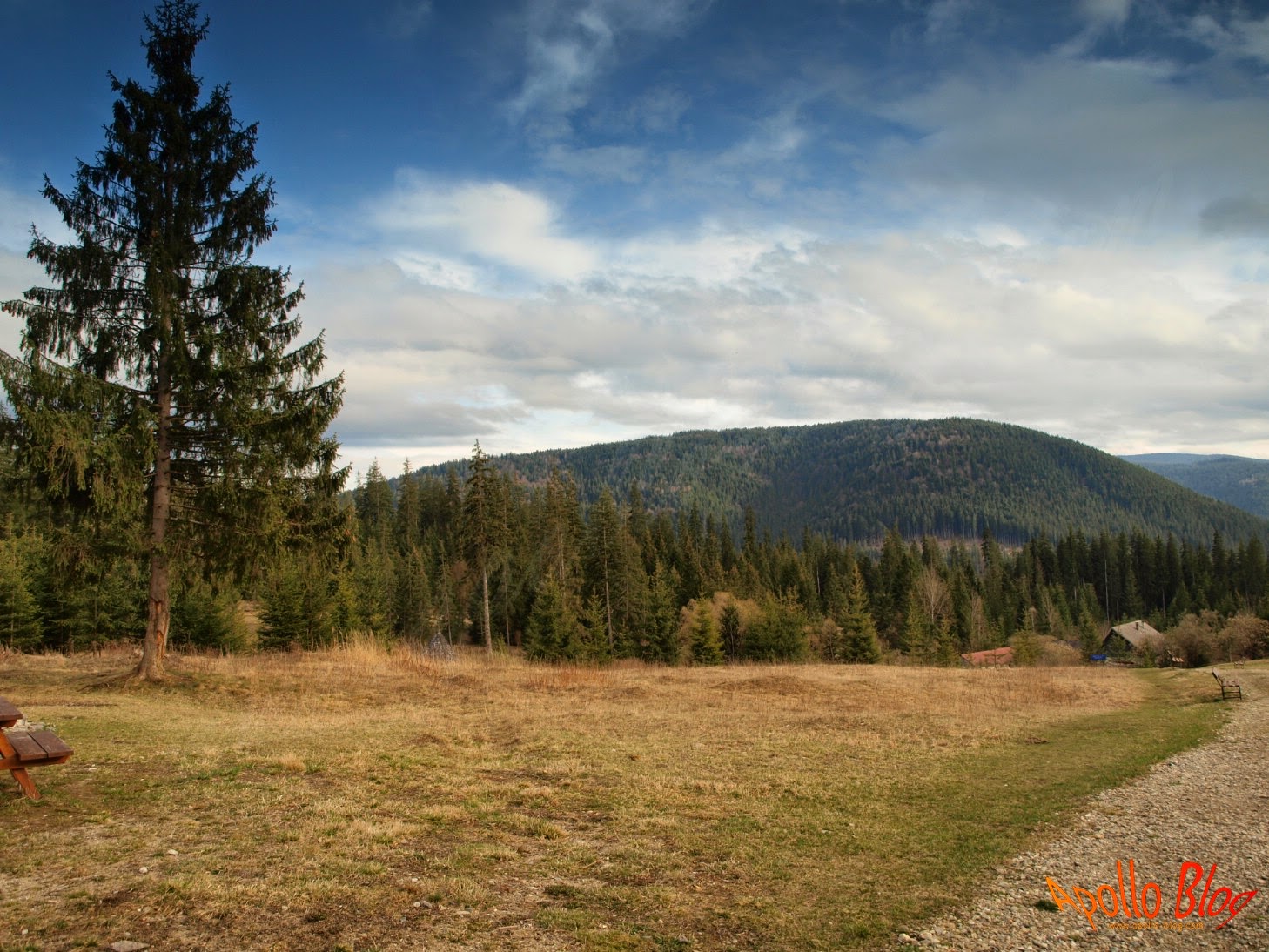 Apollo Blog: Primavara @ Borsec