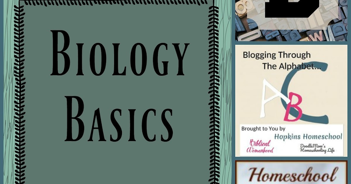 Homeschool Coffee Break: Biology Basics (Blogging Through the Alphabet)