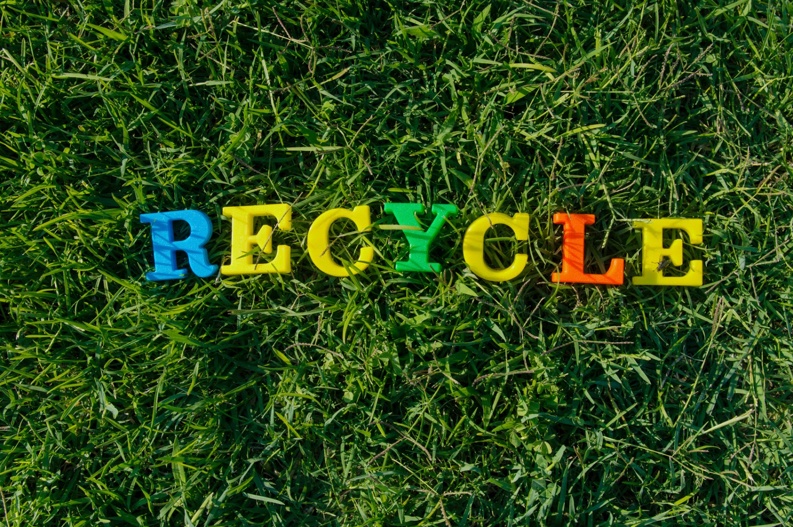 EcoFriendly Sask: What Can I Recycle? Tips for Doing It Right