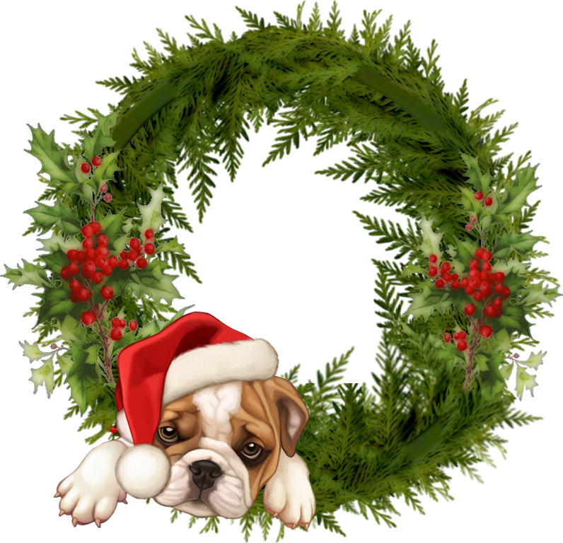 ClusterFrames: Kerst rand.