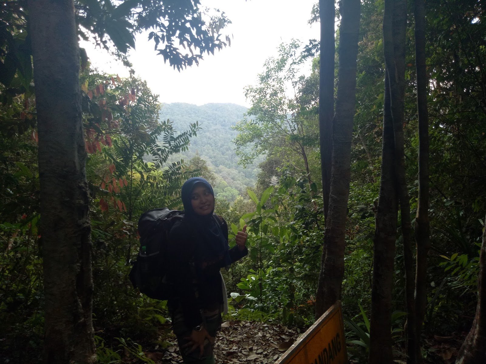 Gunung Tebu