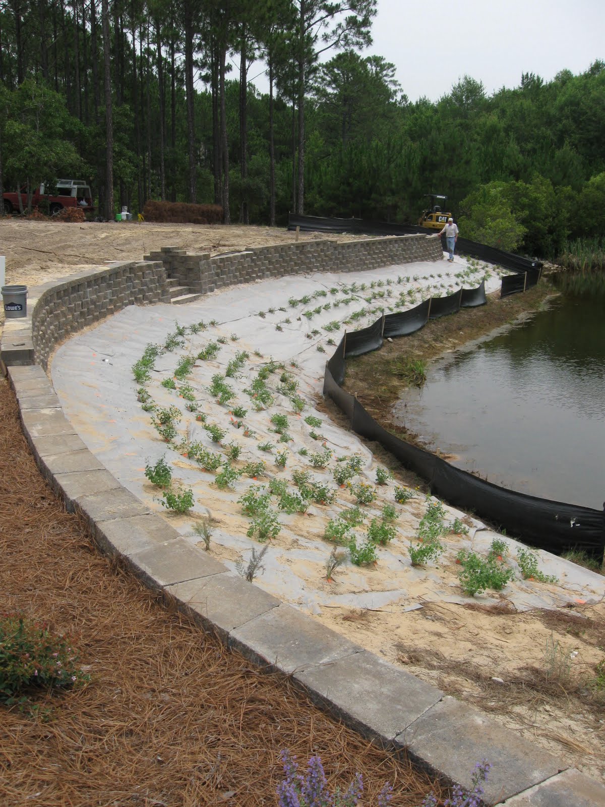 Gardening From the Ground Up: THE GREAT WALL