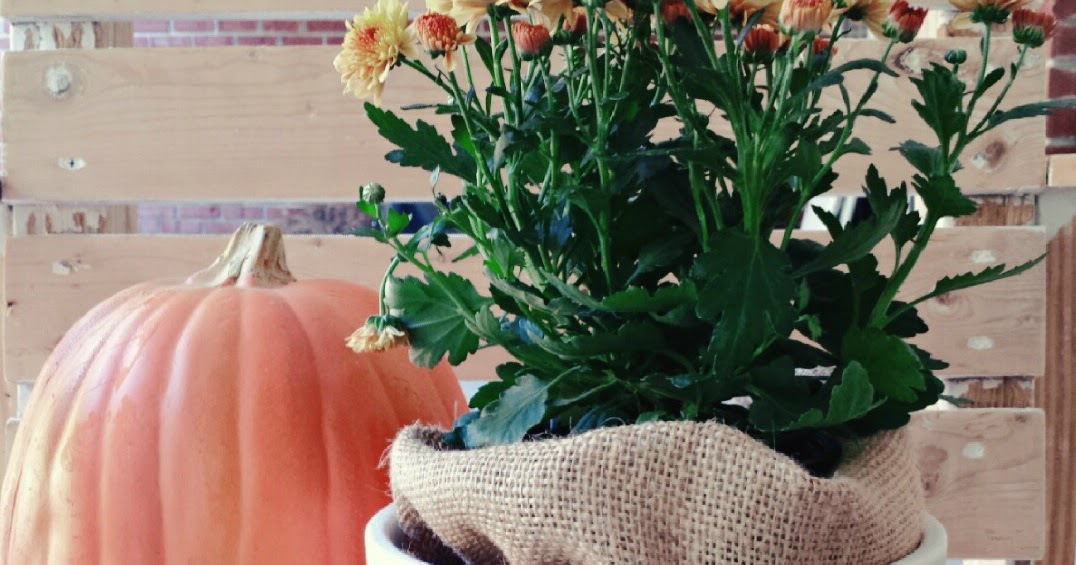 Inspirations by D: Fall Flower Pot