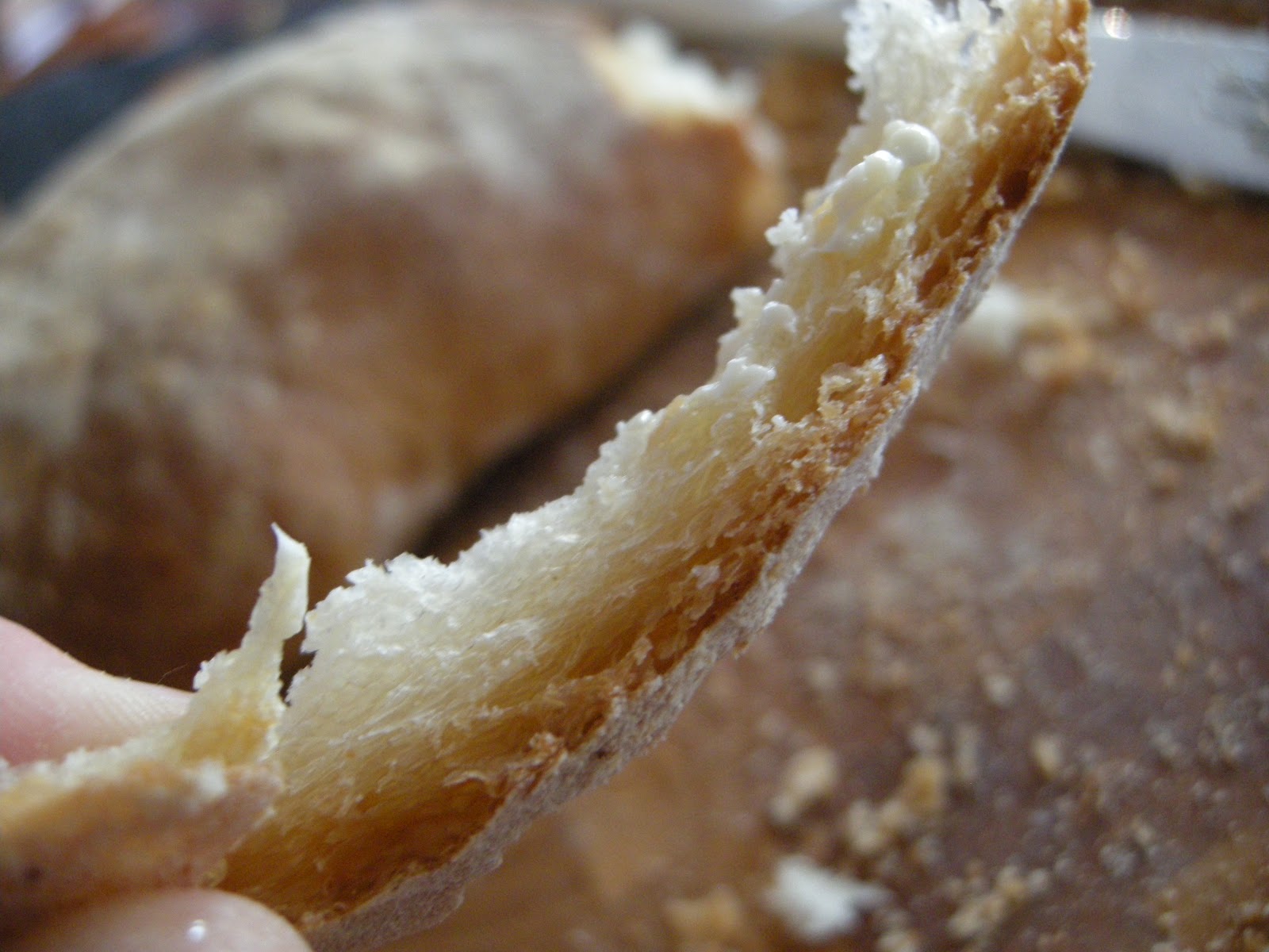 Kitchens Are Monkey Business: Rosie Makes Filone. It's Bread.