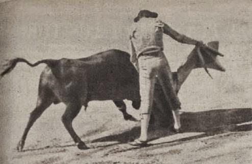 Toreros Mexicanos: ARMANDO MUÑOZ