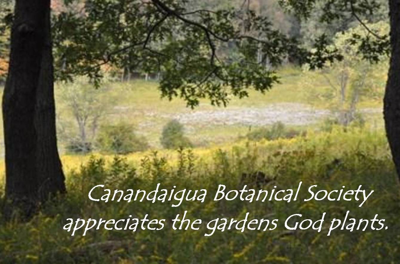 CANANDAIGUA BOTANICAL SOCIETY . . . . Celebrating 147 years in 2021 ...
