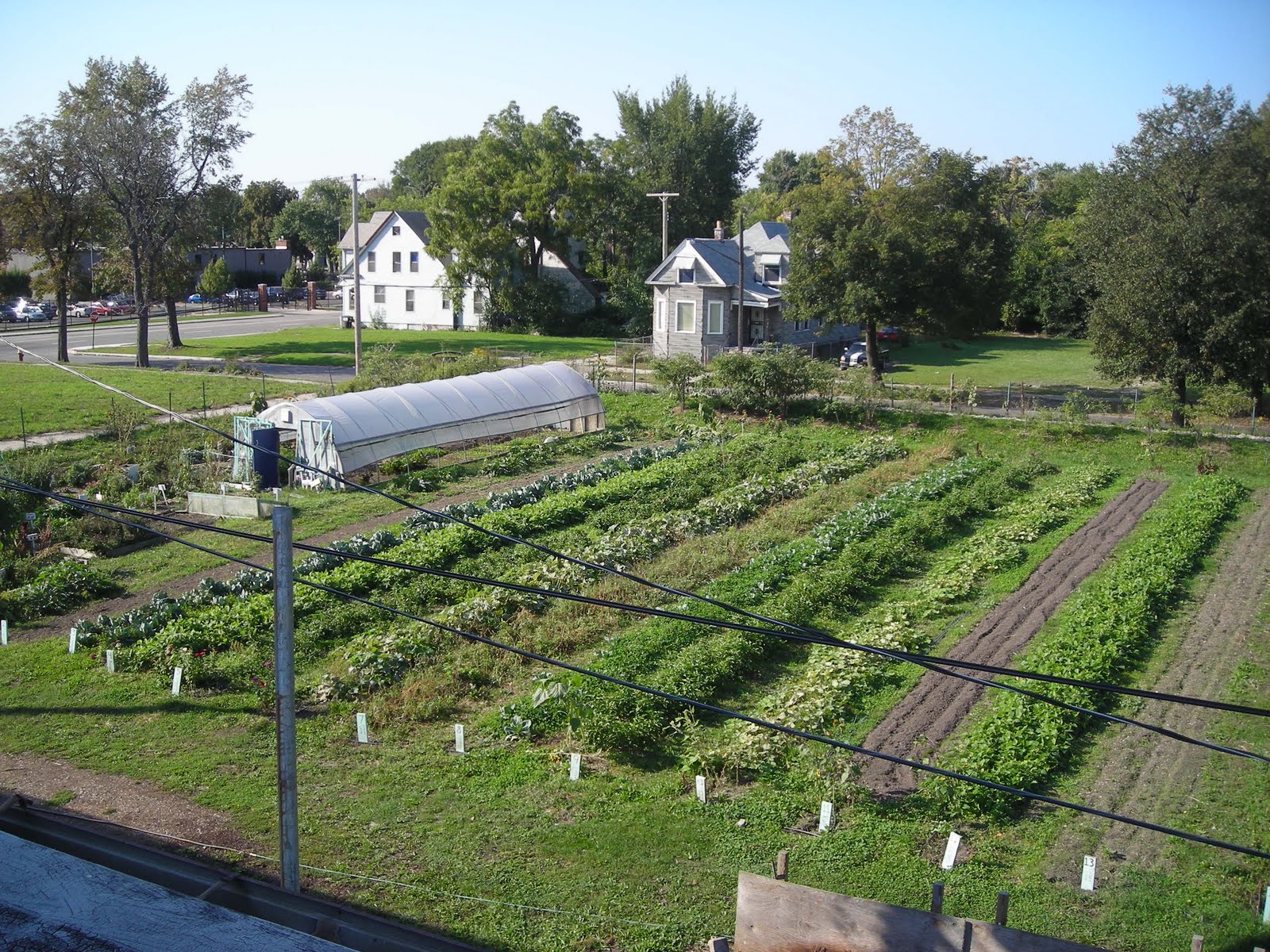 Detroit: Urban Farming
