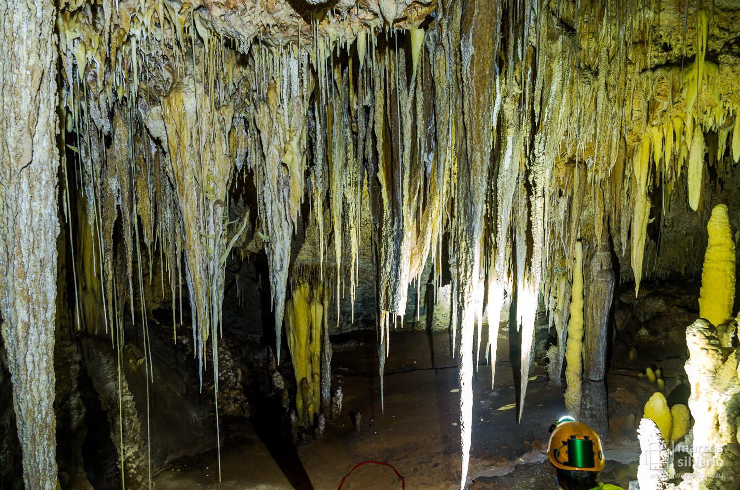Terrasub: divulgação científica de trabalhos envolvendo a exploração e ...