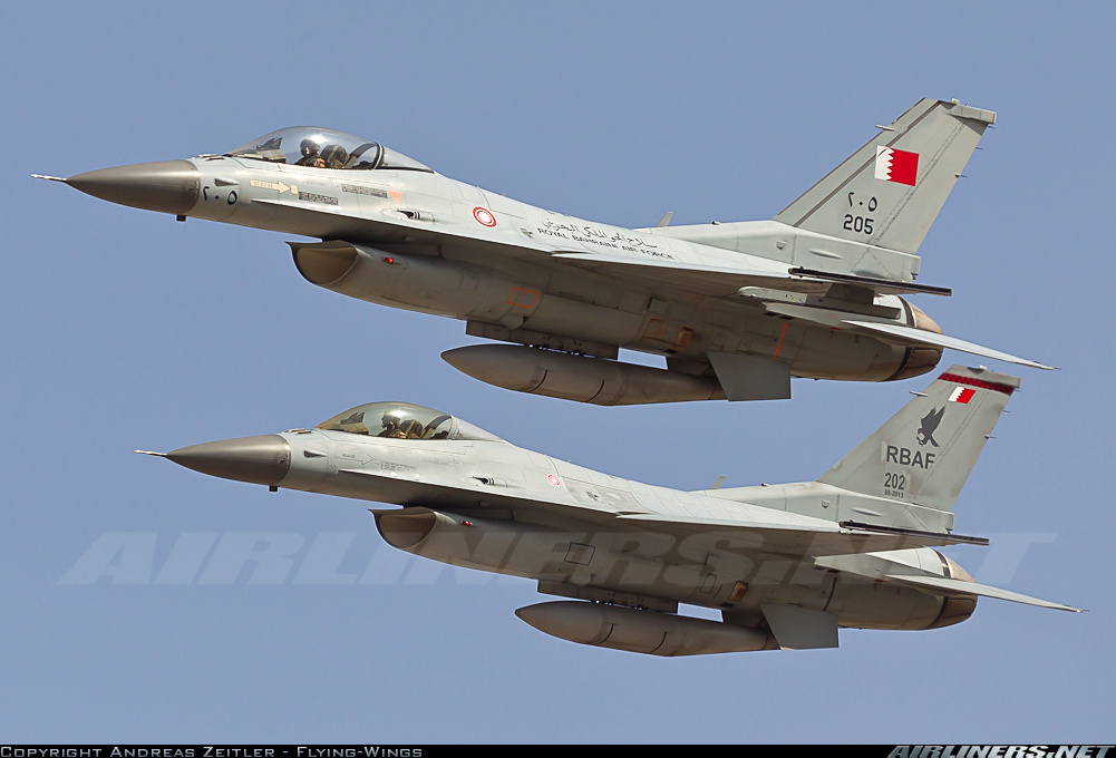 World Military and Police Forces: Bahrain