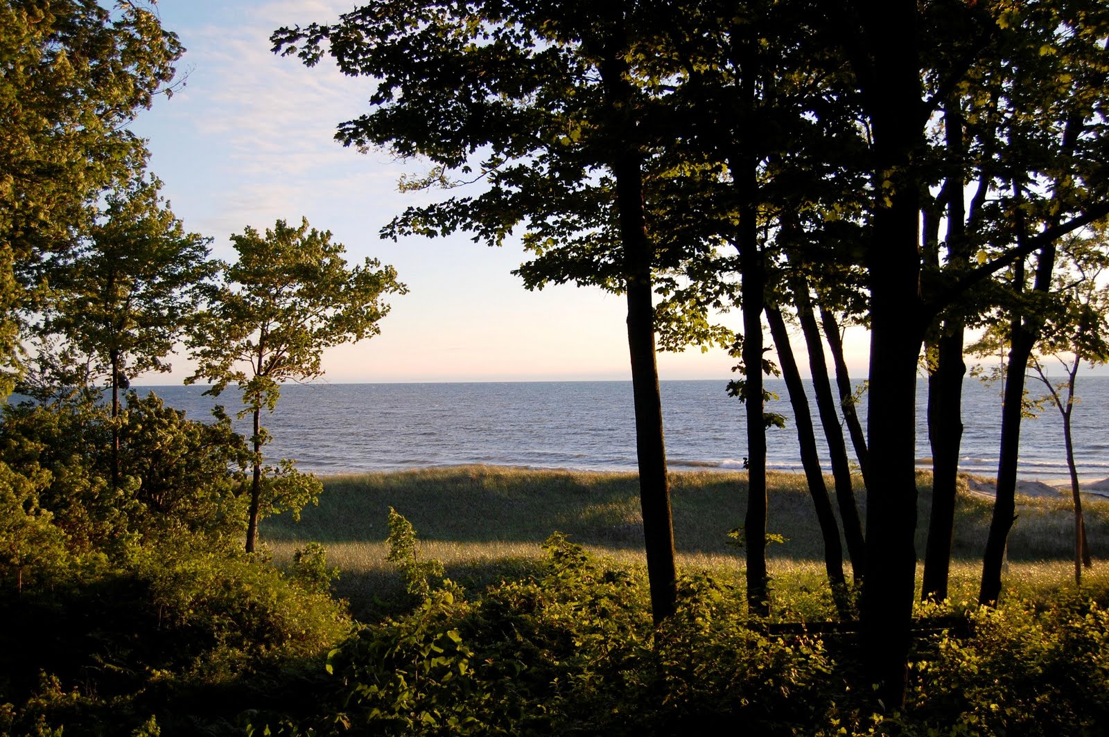 33 Shades of Green: Pure Michigan Vacation