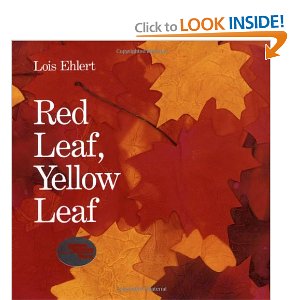 Common Core Texts for 2nd Grade: Unit 1--The Seasons (Fiction) | Charts ...