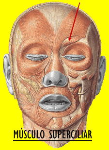 Mais saúde com Dra. Samya Francis