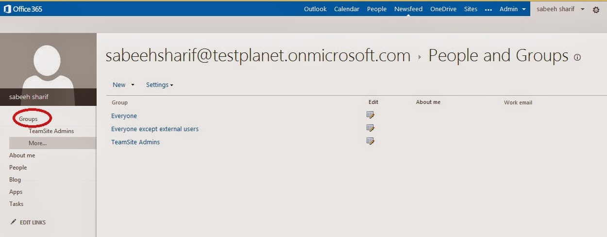 SharePoint: How to assign Roles in SharePoint 2013