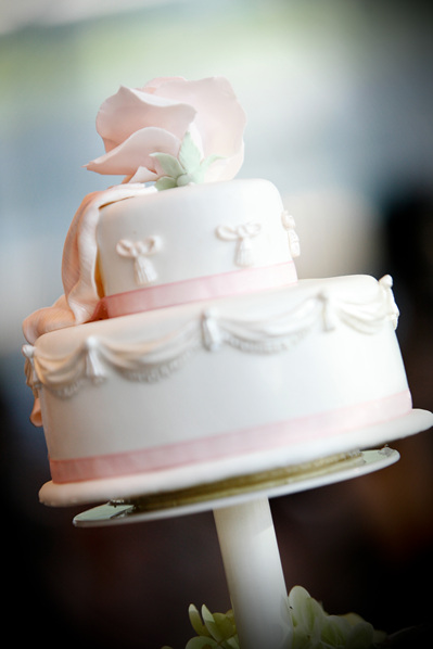 Wedding Story: Wedding Cake Madness! (Fake vs. Real Cakes)