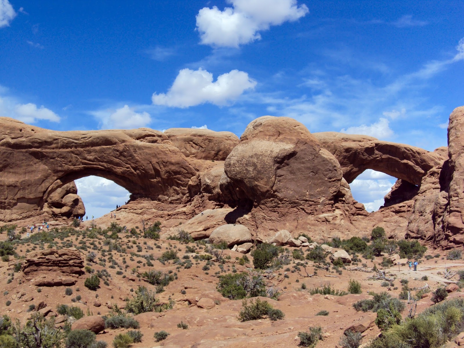 Amy's Creative Pursuits: Arches National Park - Windows Trail and ...